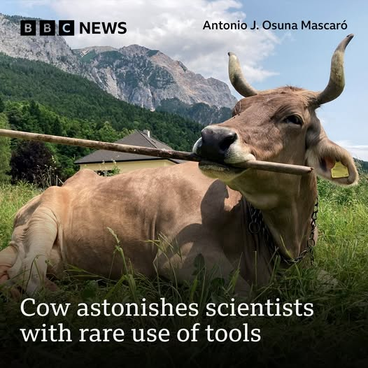 ‘Zootopia 2’ becomes Disney’s #1 animated hit at $1.7bn - edge.ug